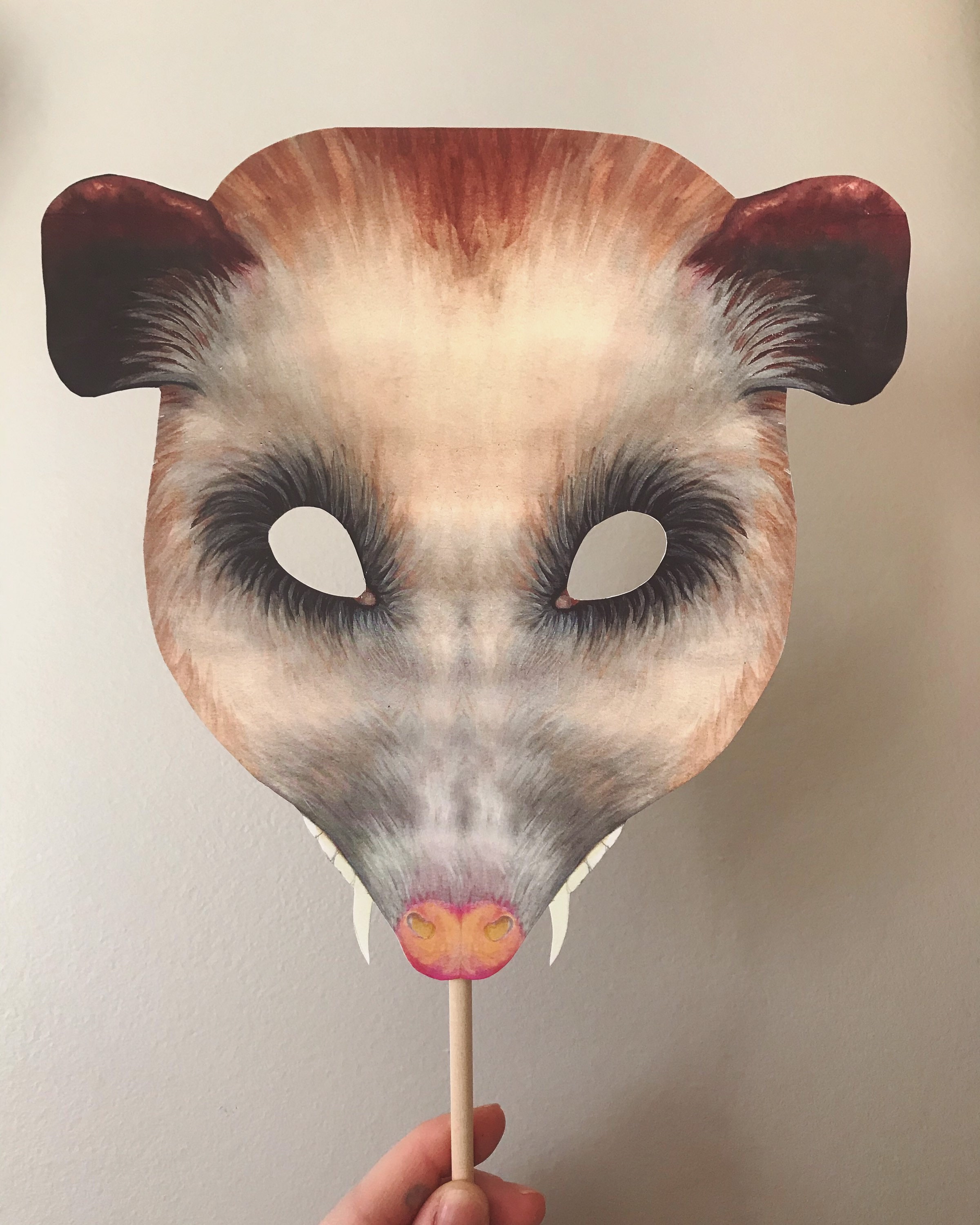 Hand Painted Opossum Mask Digital Print - Etsy