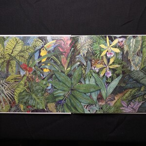 The Umbrella, by Jan Brett, 2004 HC, G P Putnam's Sons , First Edition ...