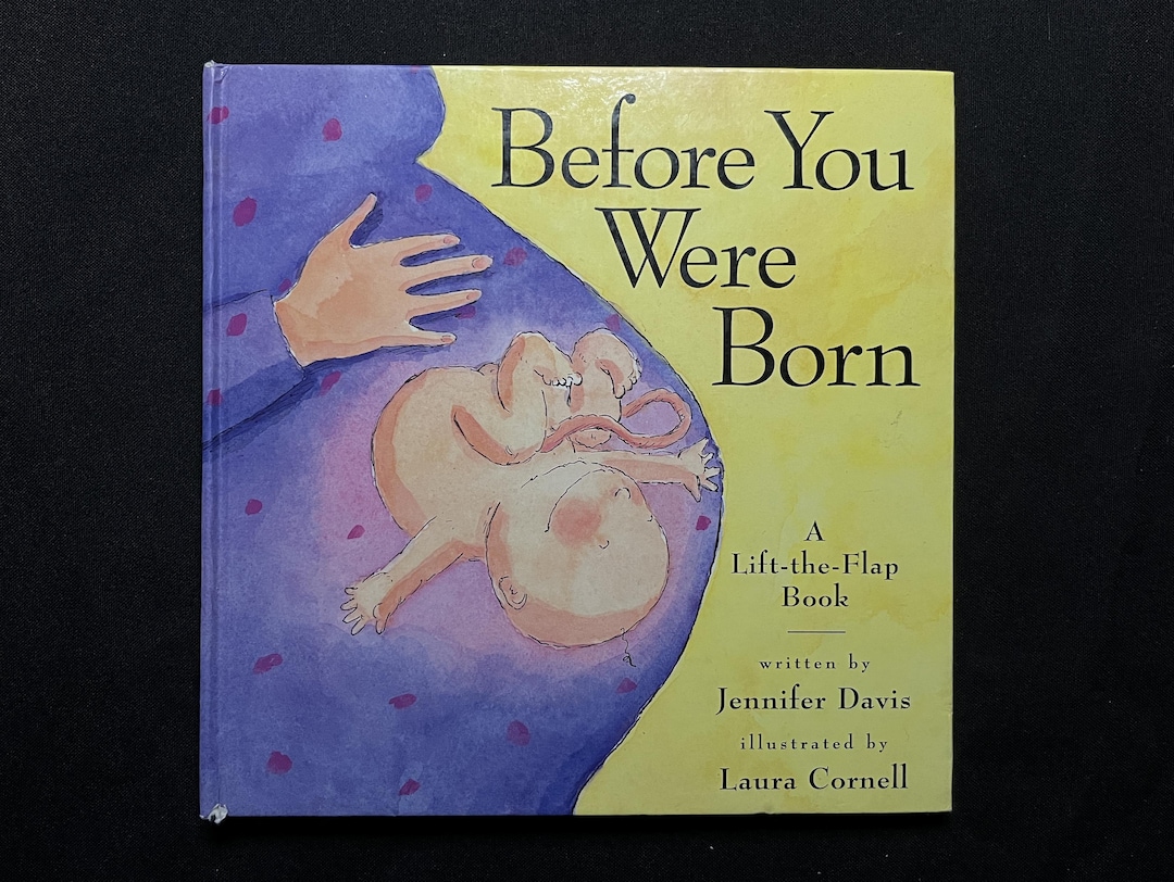 Before You Were Born, Lift-the-flap Book by Jennifer Davis, Illust. by ...
