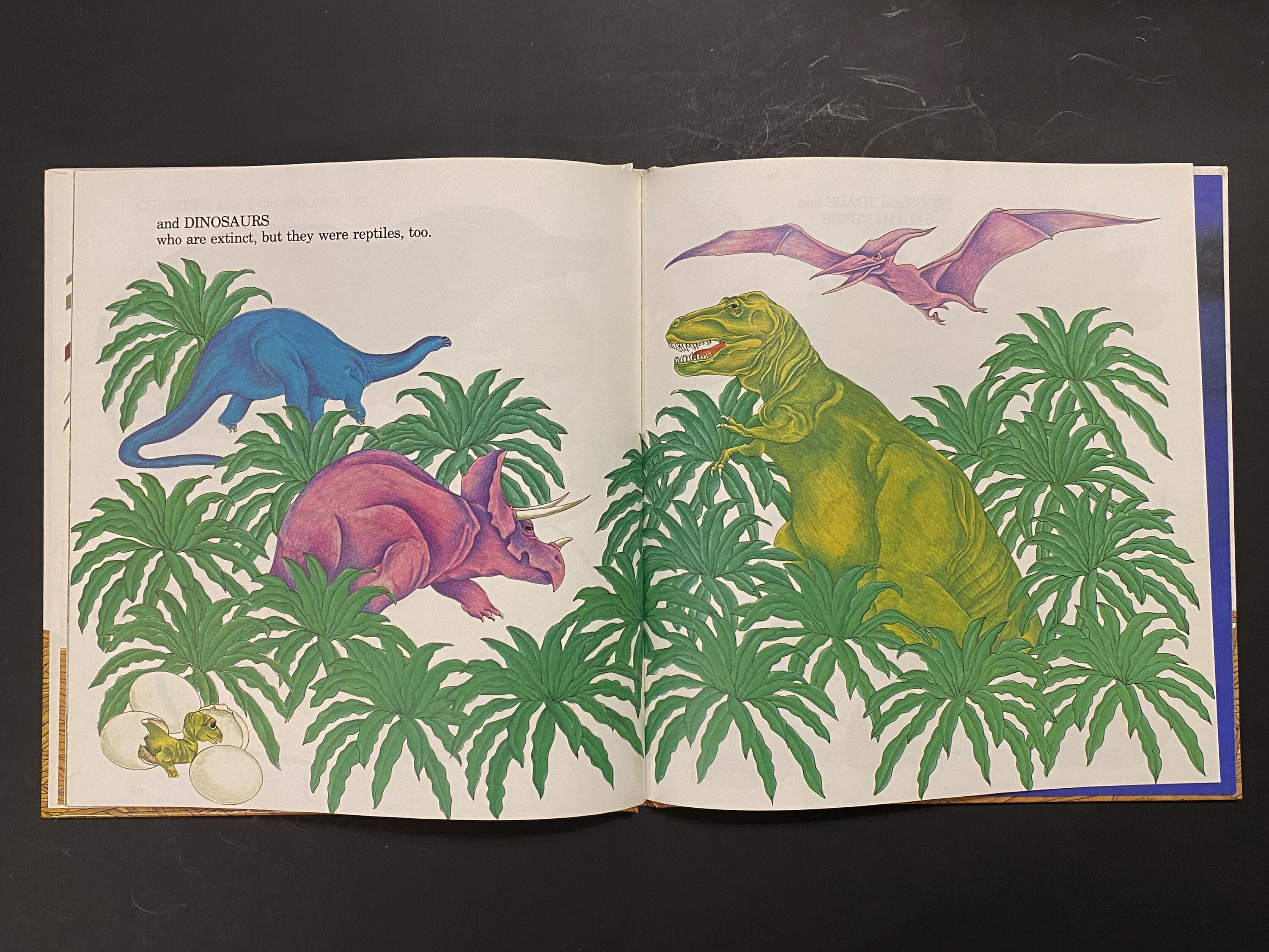Chickens Aren't the Only Ones by Ruth Heller 1988 HB - Etsy UK