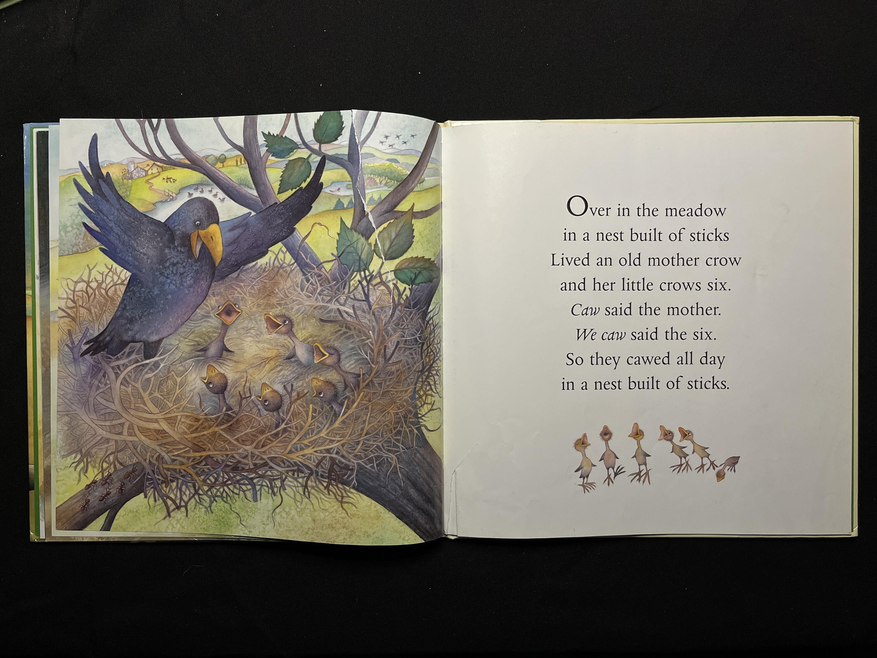 Over in the Meadow A Counting Rhyme by Olive A Wadsworth - Etsy