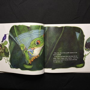 The Umbrella, by Jan Brett, 2004 HC, G P Putnam's Sons , First Edition ...