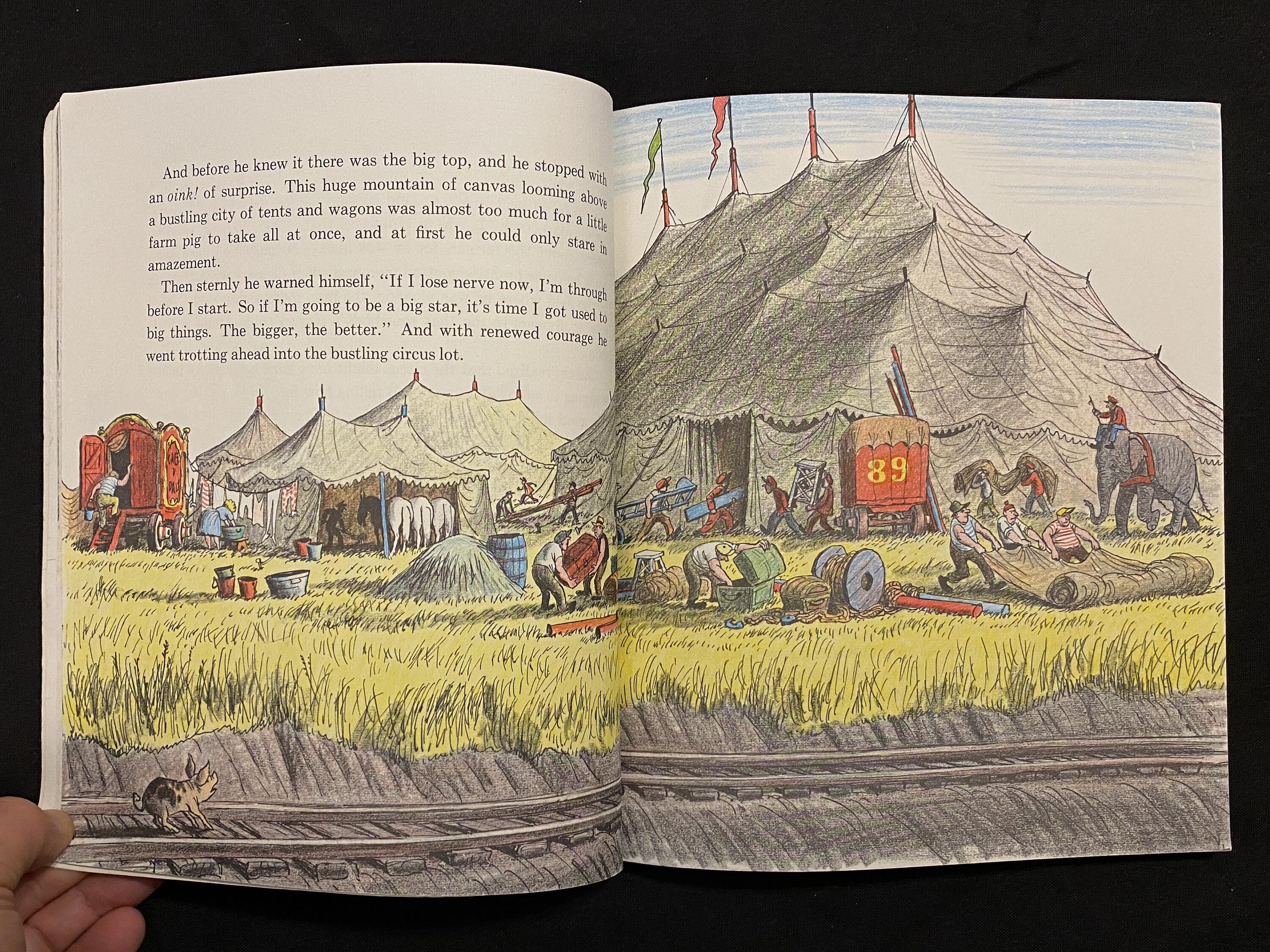 Chester the Worldly Pig by Bill Peet 1965 Softcover - Etsy