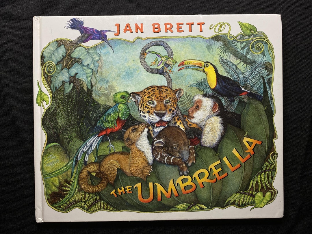 The Umbrella, by Jan Brett, 2004 HC, G P Putnam's Sons , First Edition ...