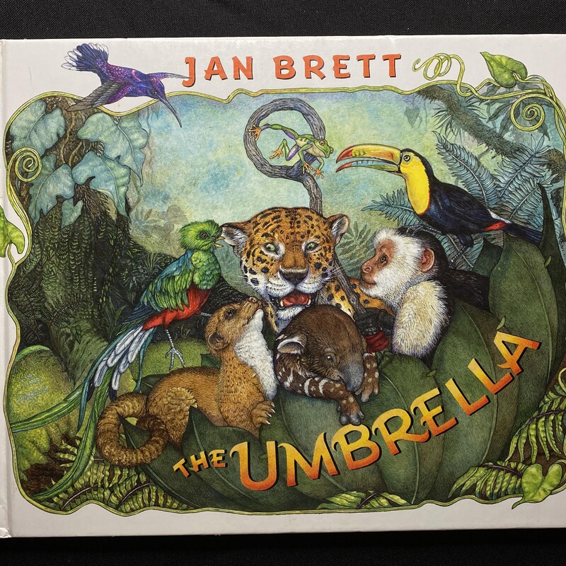Jan Brett - Etsy