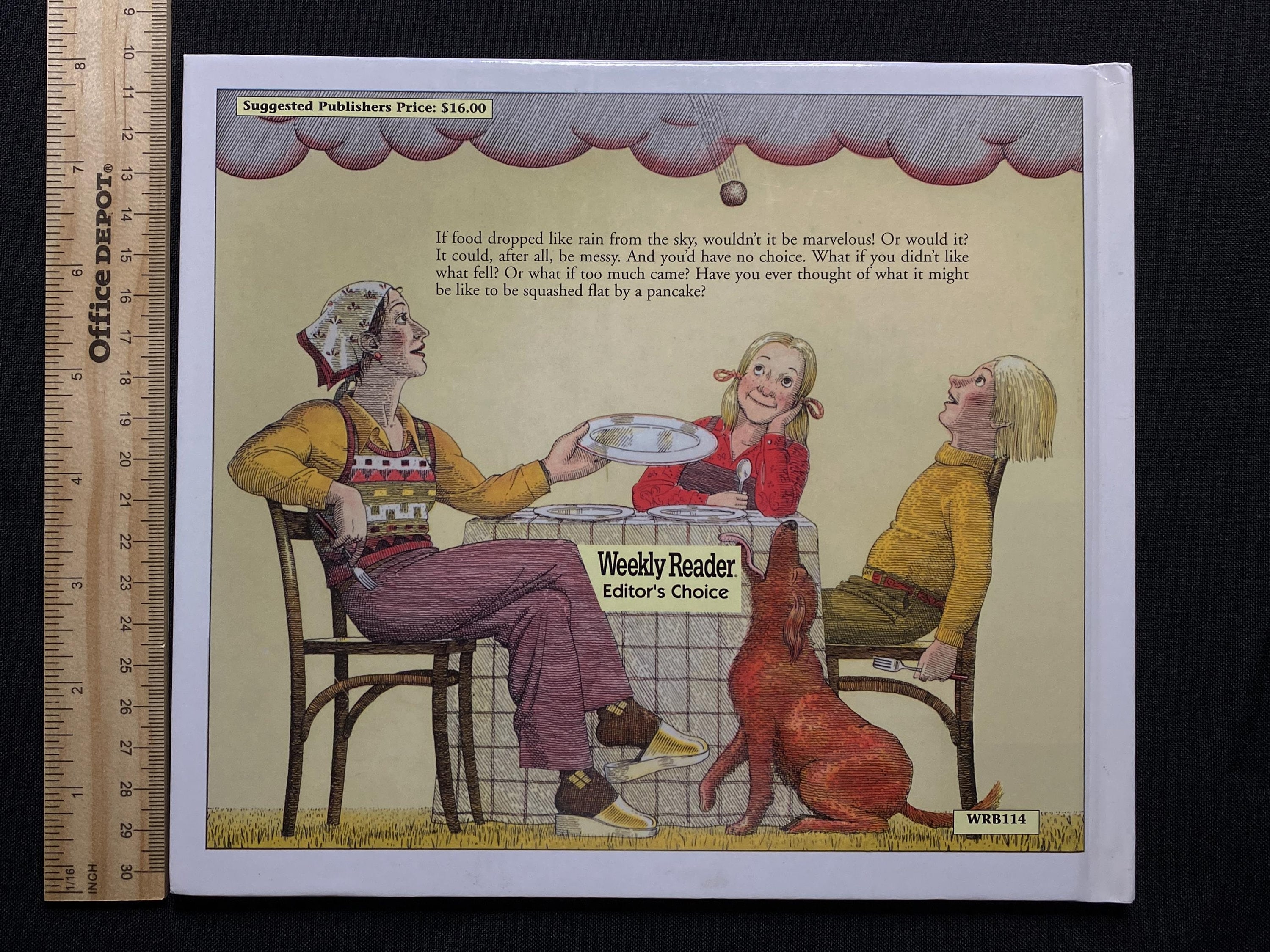 Cloudy With A Chance Of Meatballs Book