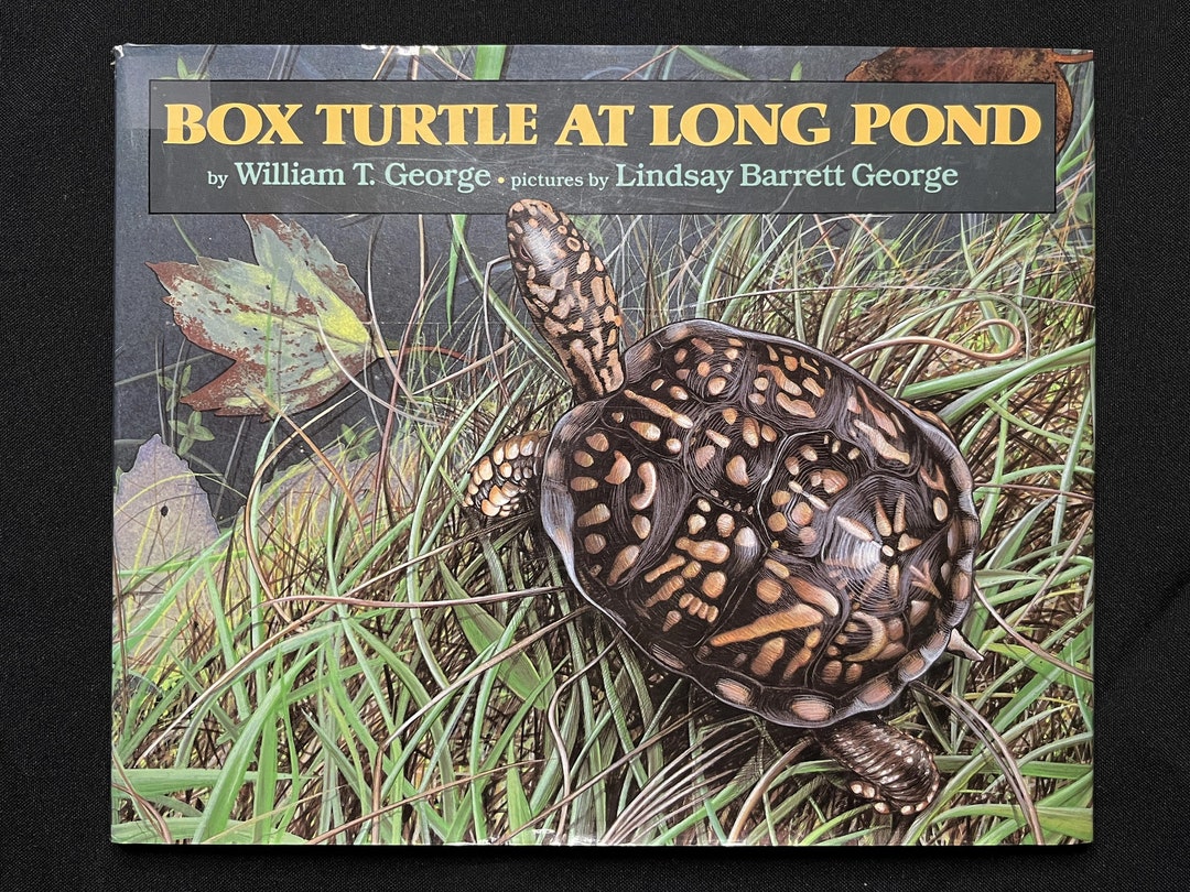 Box Turtle at Long Pond, by William T George, Illust by Lindsay Barrett ...