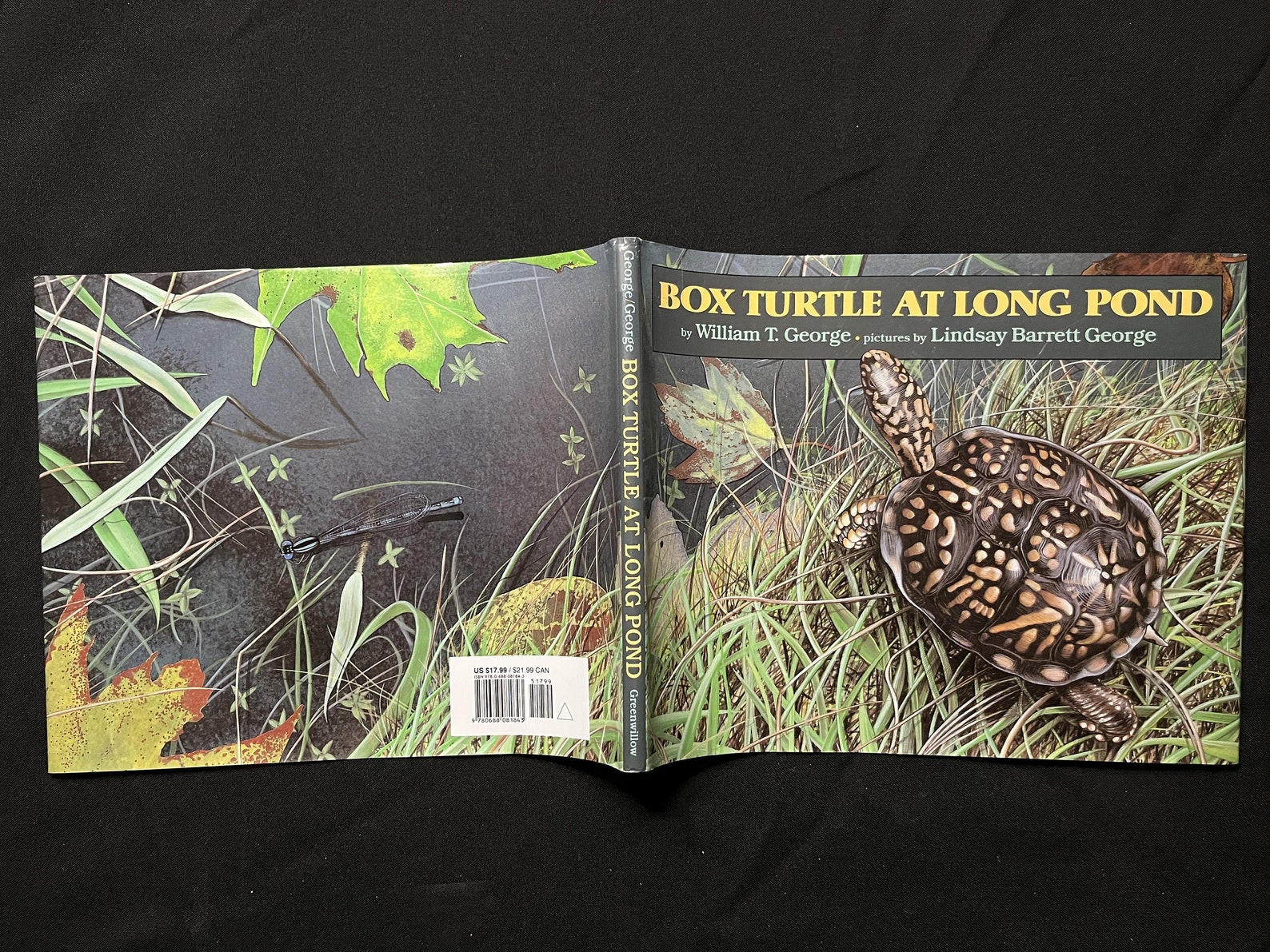 Box Turtle at Long Pond, by William T George, Illust by Lindsay Barrett ...