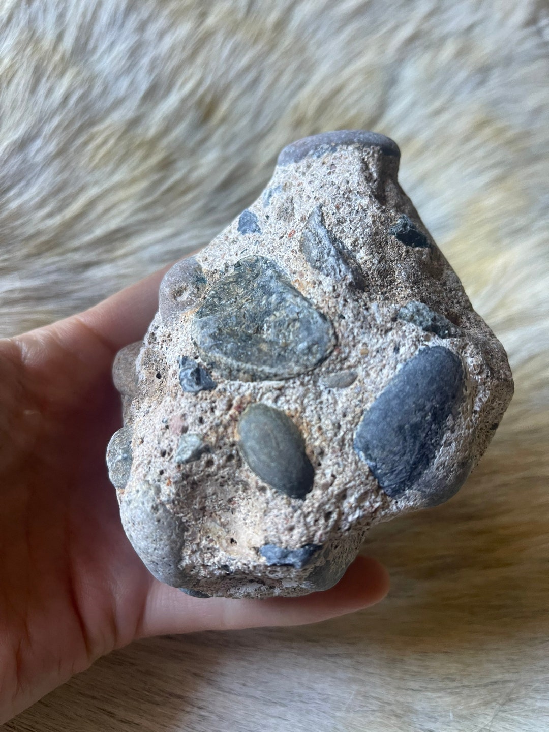 California Coral Reef Rock Shells Ocean Chunk Decor - Etsy