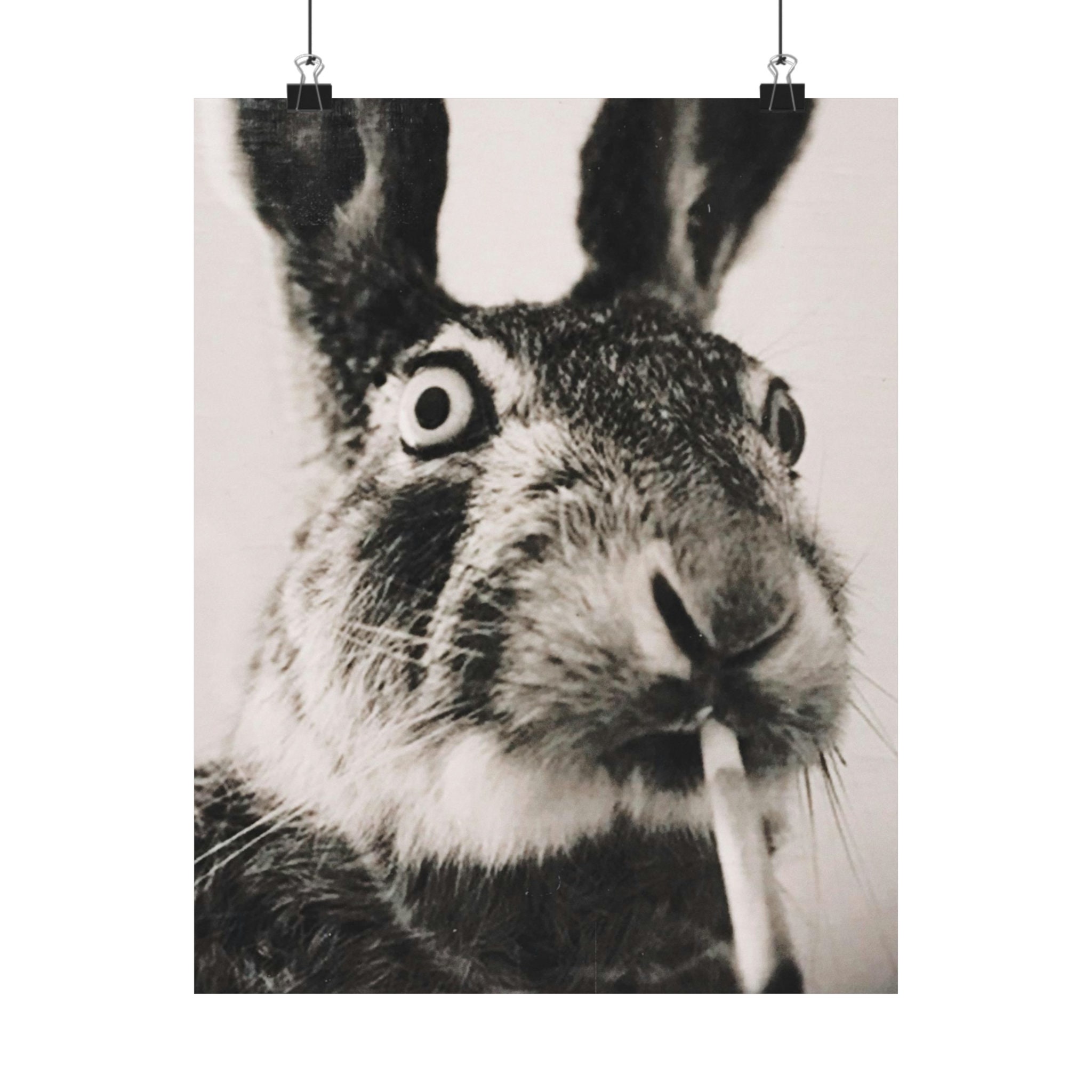 Film Portrait Animal Bunny Rabbit Smoking Black and White Wall Art ...