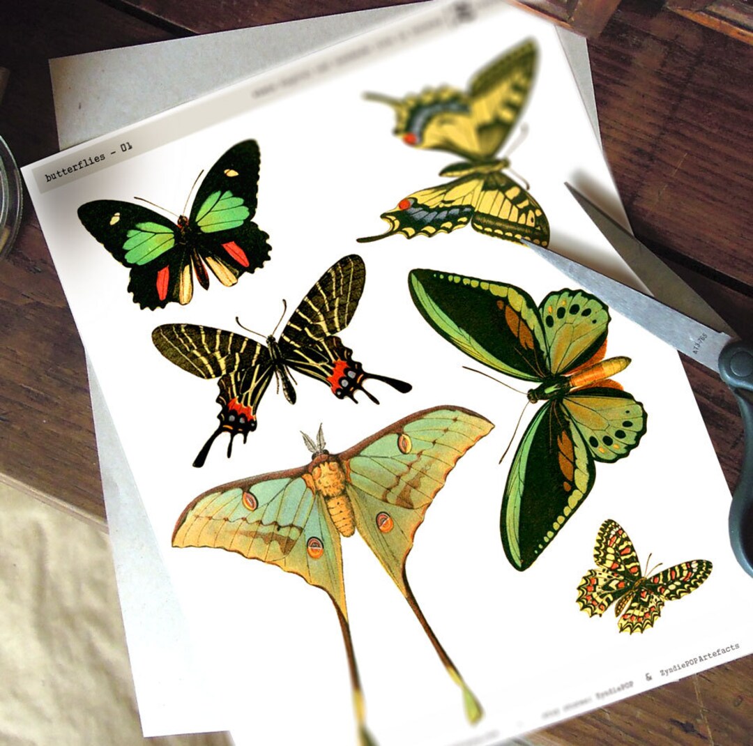 Digital Collage BUTTERFLIES 01 Butterfly Wings Mixed Media - Etsy