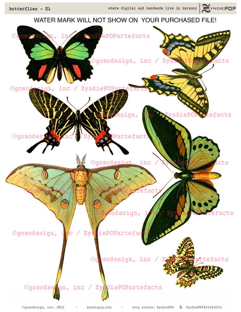 Digital Collage BUTTERFLIES 01 Butterfly Wings Mixed Media - Etsy