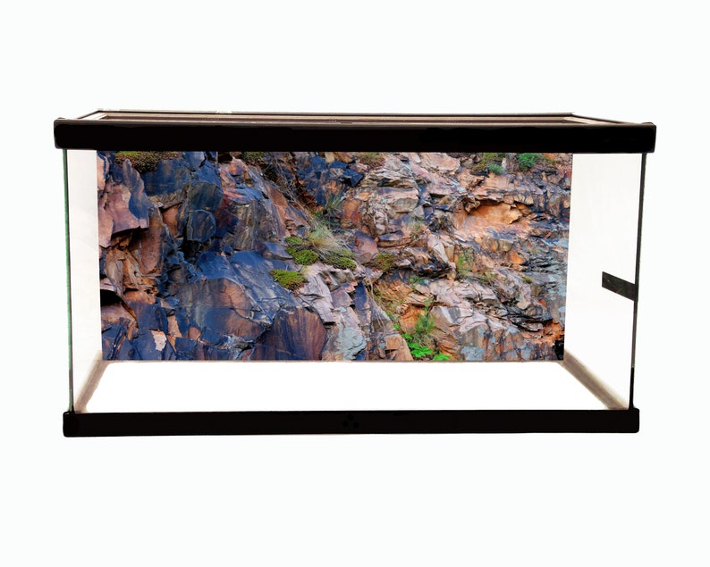 Rock Wall Terrarium Background Aquarium Background - Etsy