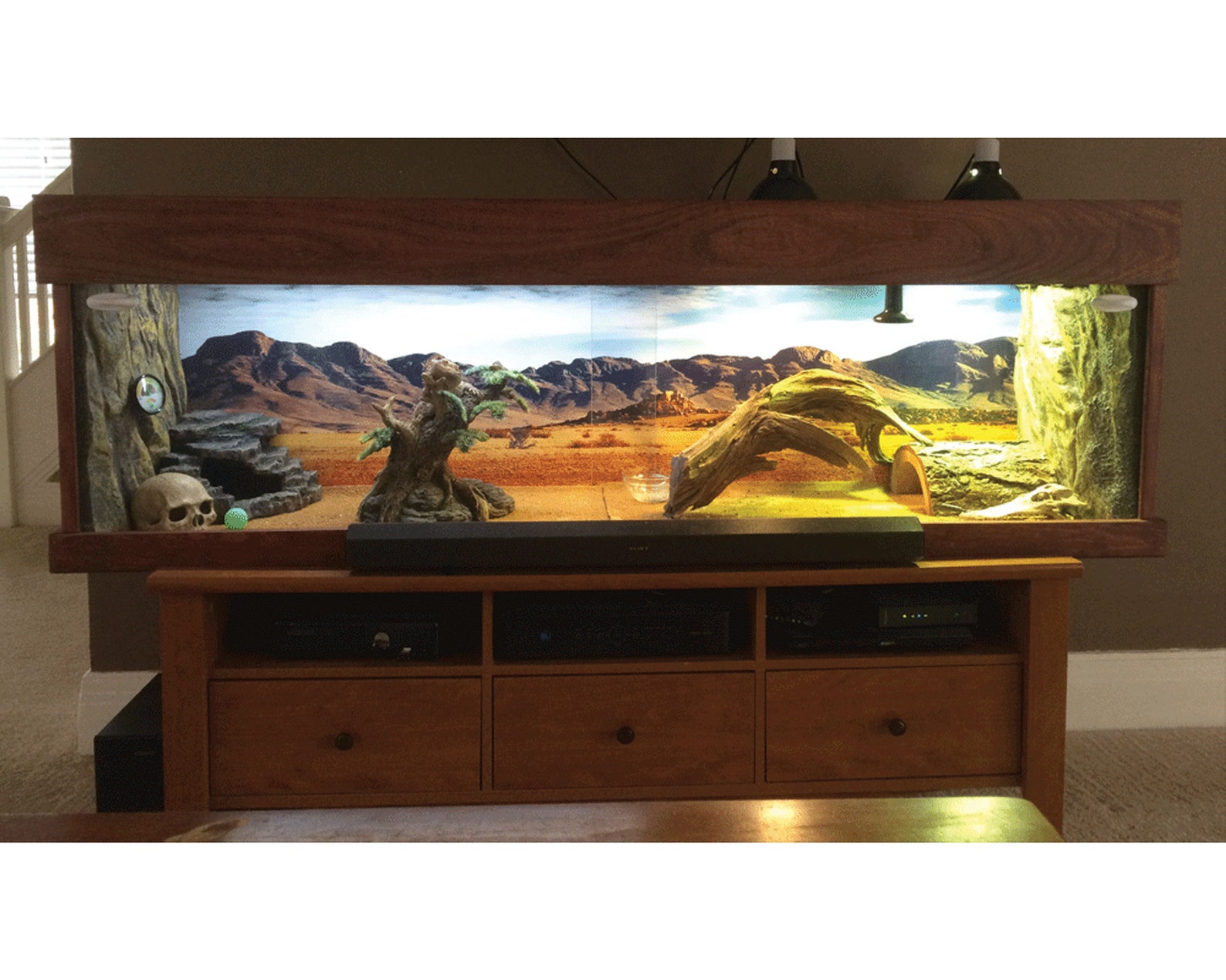 40 Gallon Desert Landscape Tank Background by Petbackdrops - Reusable ...