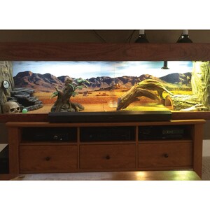 40 Gallon Desert Landscape Tank Background by Petbackdrops - Reusable ...