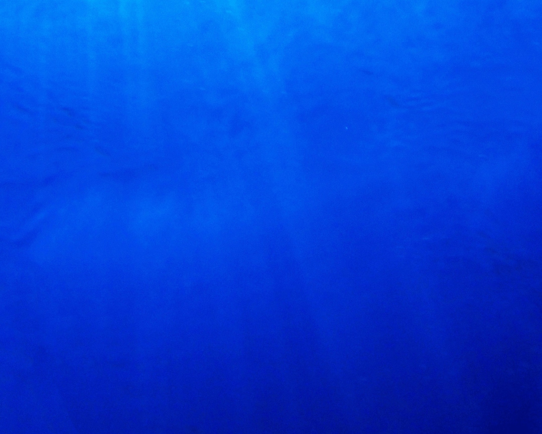 20 Gallon Blue Aquarium Background Petbackdrops - Reusable Glass Tank ...