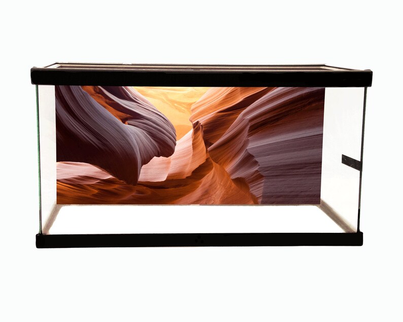 Antelope Canyon Background Petbackdrops - Aquarium Background -40 ...