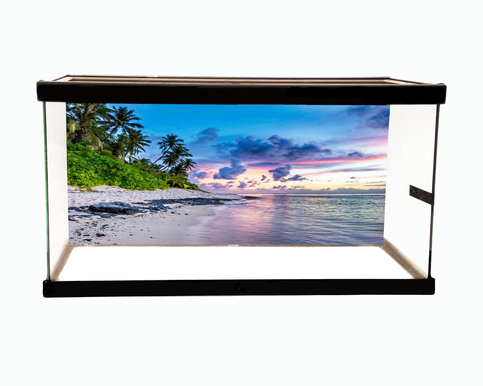 Beach Sunset Aquarium Background: Waterproof Vinyl Reptile Cage Decor ...