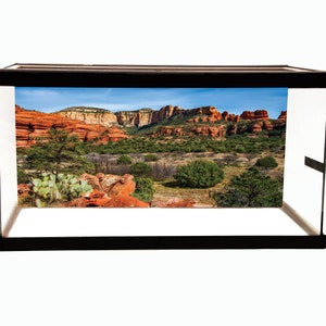 40 Gallon Red Rock Desert Background Petbackdrops - Aquarium Background ...