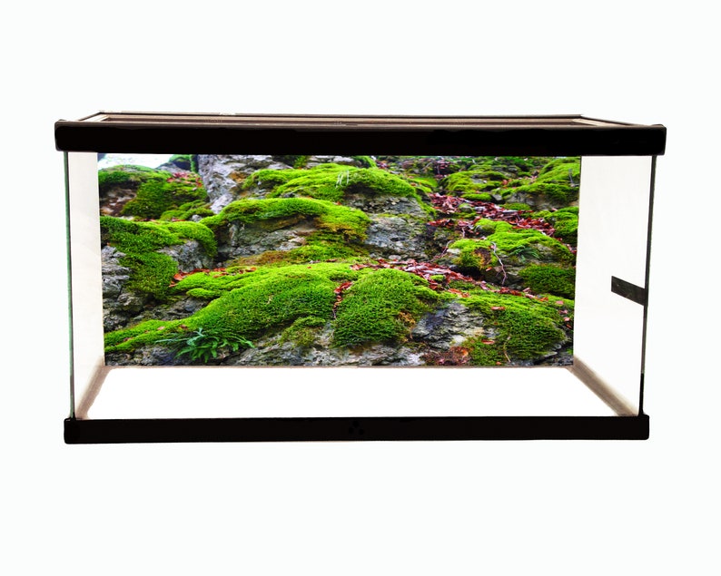 Rock & Moss Aquarium Background – 40 Gallon Reusable Stone Print - Etsy