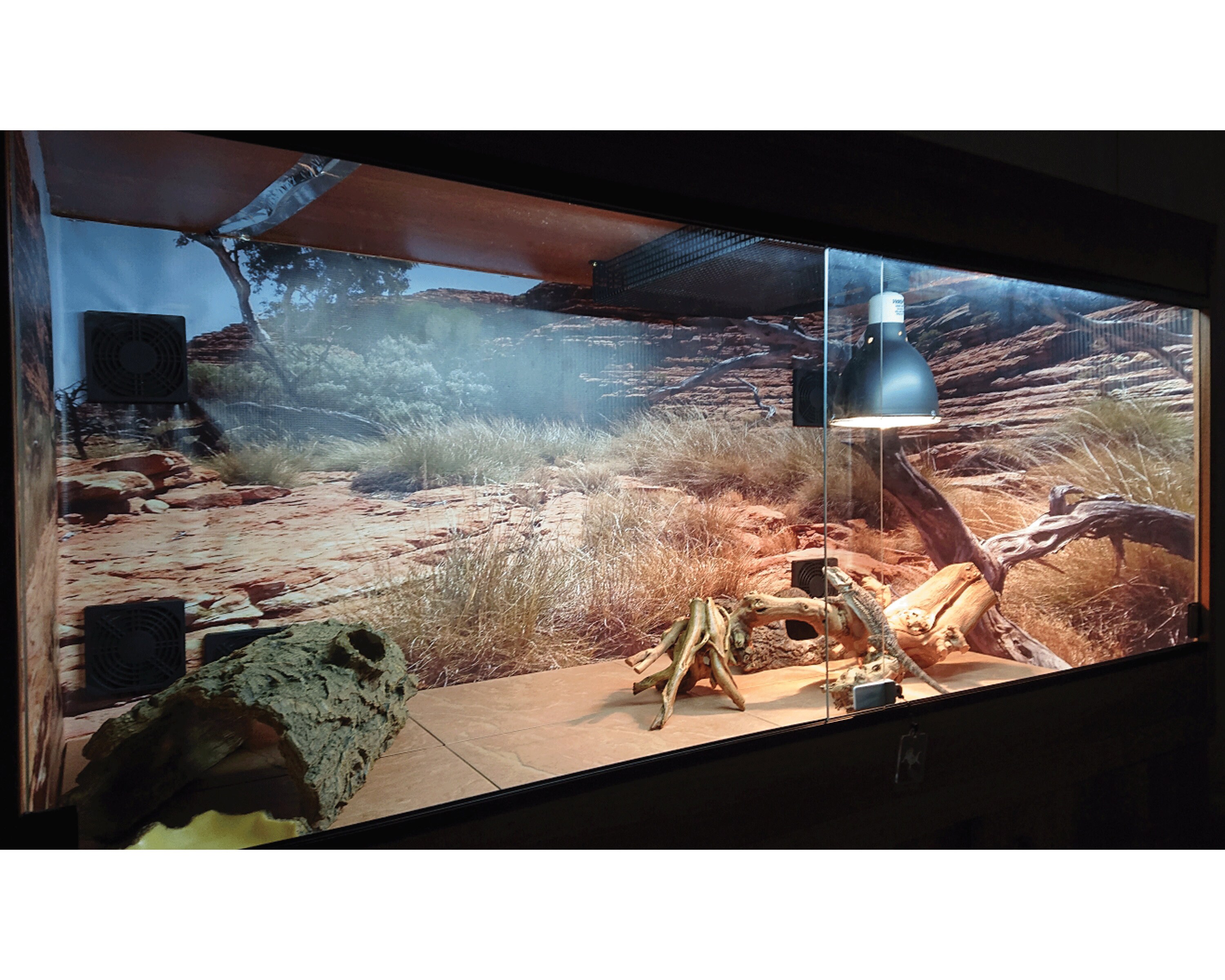 Australian Outback Tank Background – Desert Cage Decor - Etsy