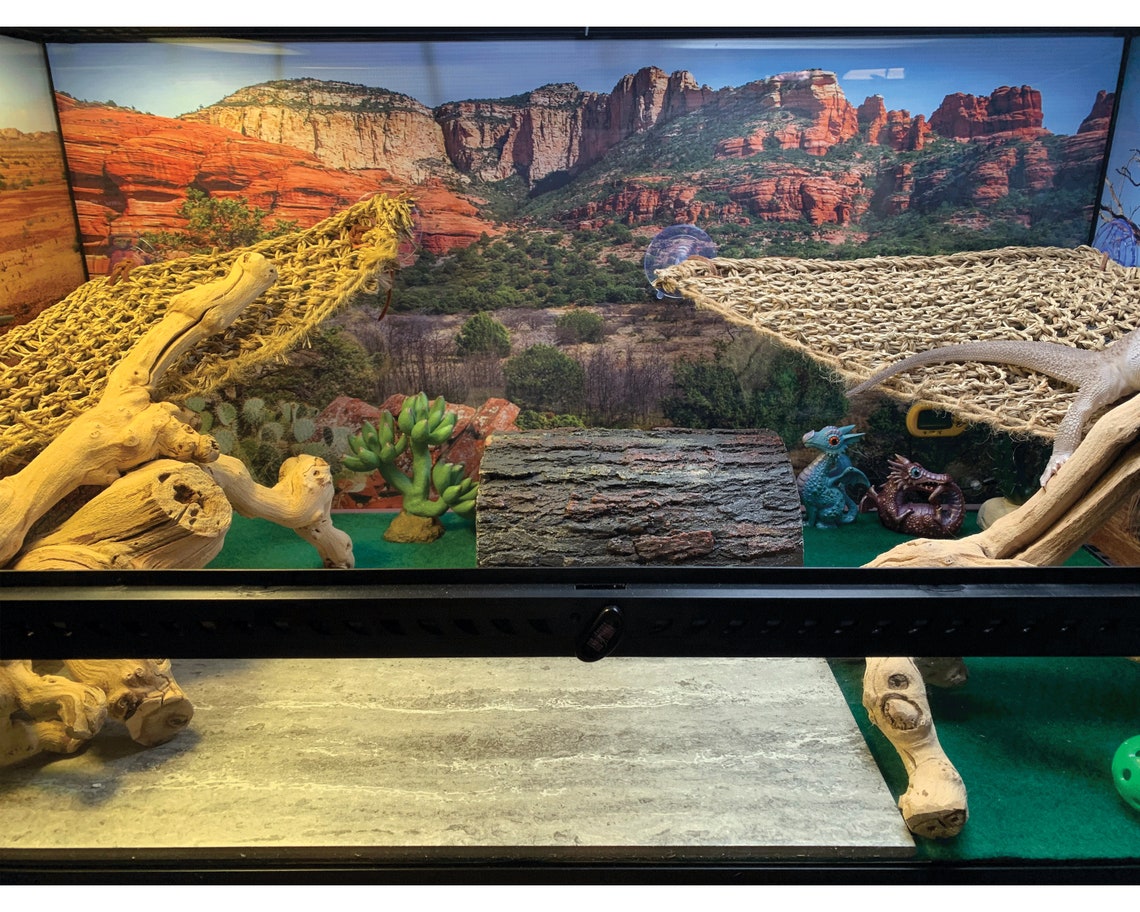 40 Gallon Red Rock Desert Background Petbackdrops Aquarium - Etsy