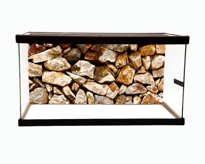 Light Brown Rock Wall Aquarium Background Petbackdrops - Etsy