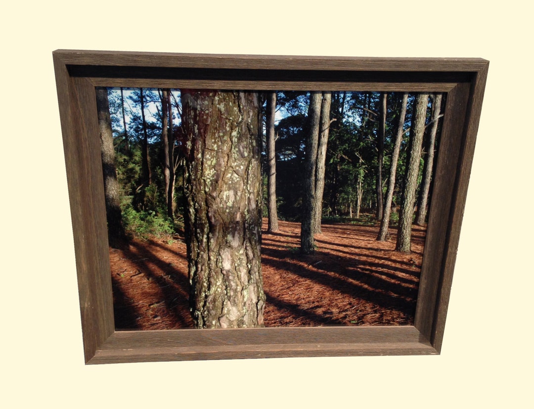 Real Photo Print Classic Frame Photography CRAMD Photographer Beautiful ...