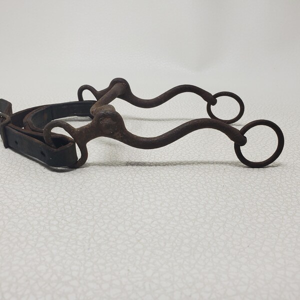 Equine Bit Decor - Etsy