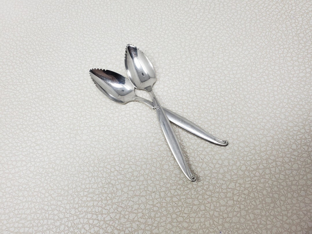 Vintage Oneida Community Stainless Driftwood Pattern Grapefruit Spoons ...