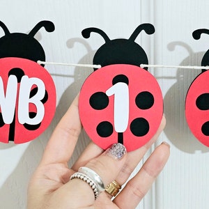 Ladybug Monthly Photo Banner, Ladybug Birthday, Ladybug Theme Decor ...