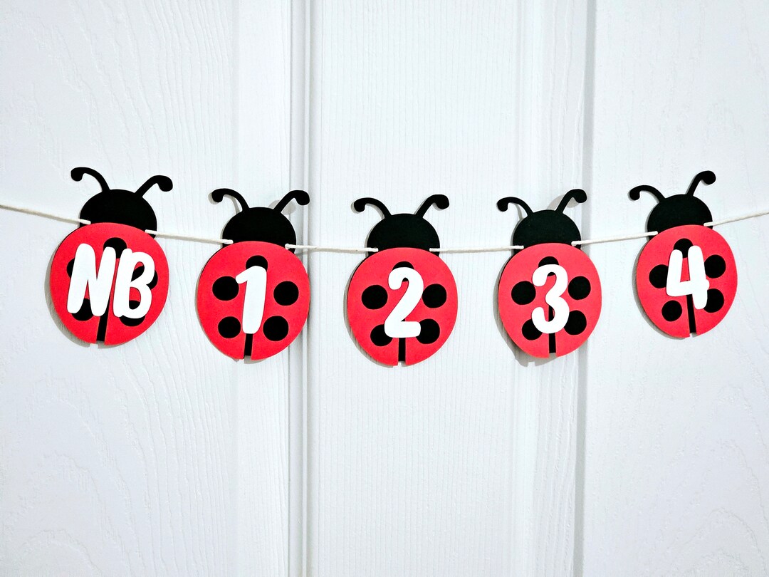Ladybug Monthly Photo Banner, Ladybug Birthday, Ladybug Theme Decor ...