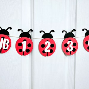 Ladybug Monthly Photo Banner, Ladybug Birthday, Ladybug Theme Decor ...