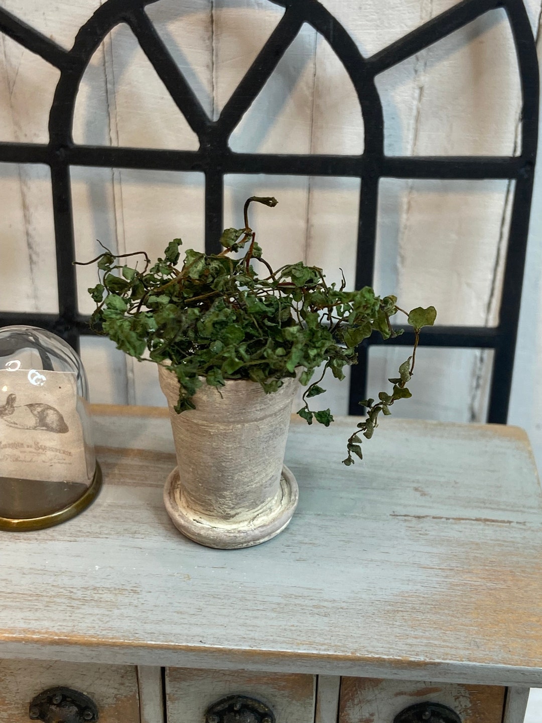 A Single Plant in Scale 1/12 - Etsy