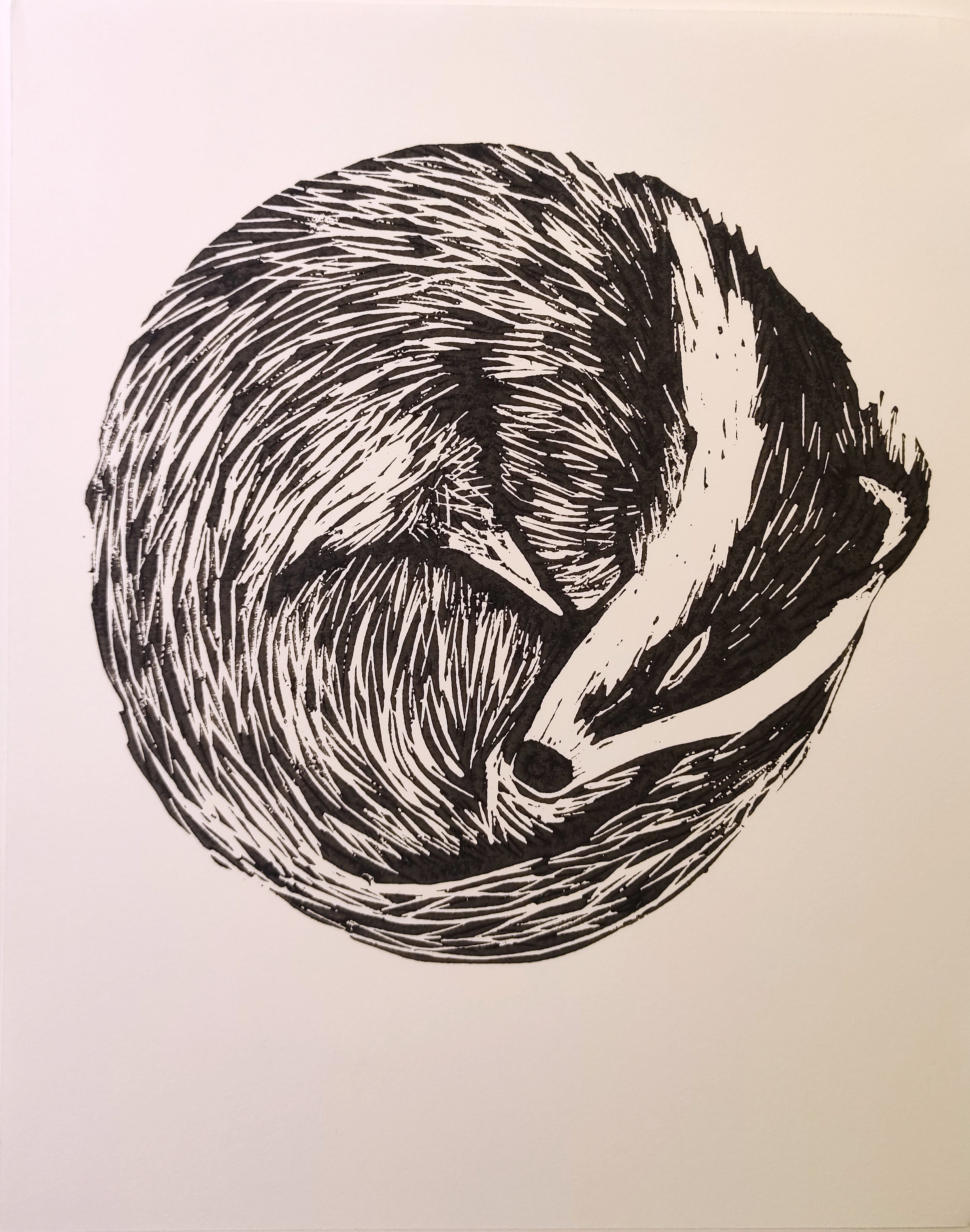 Sleeping Badger - Mounted Original Linocut Print Original Artwork - Etsy UK