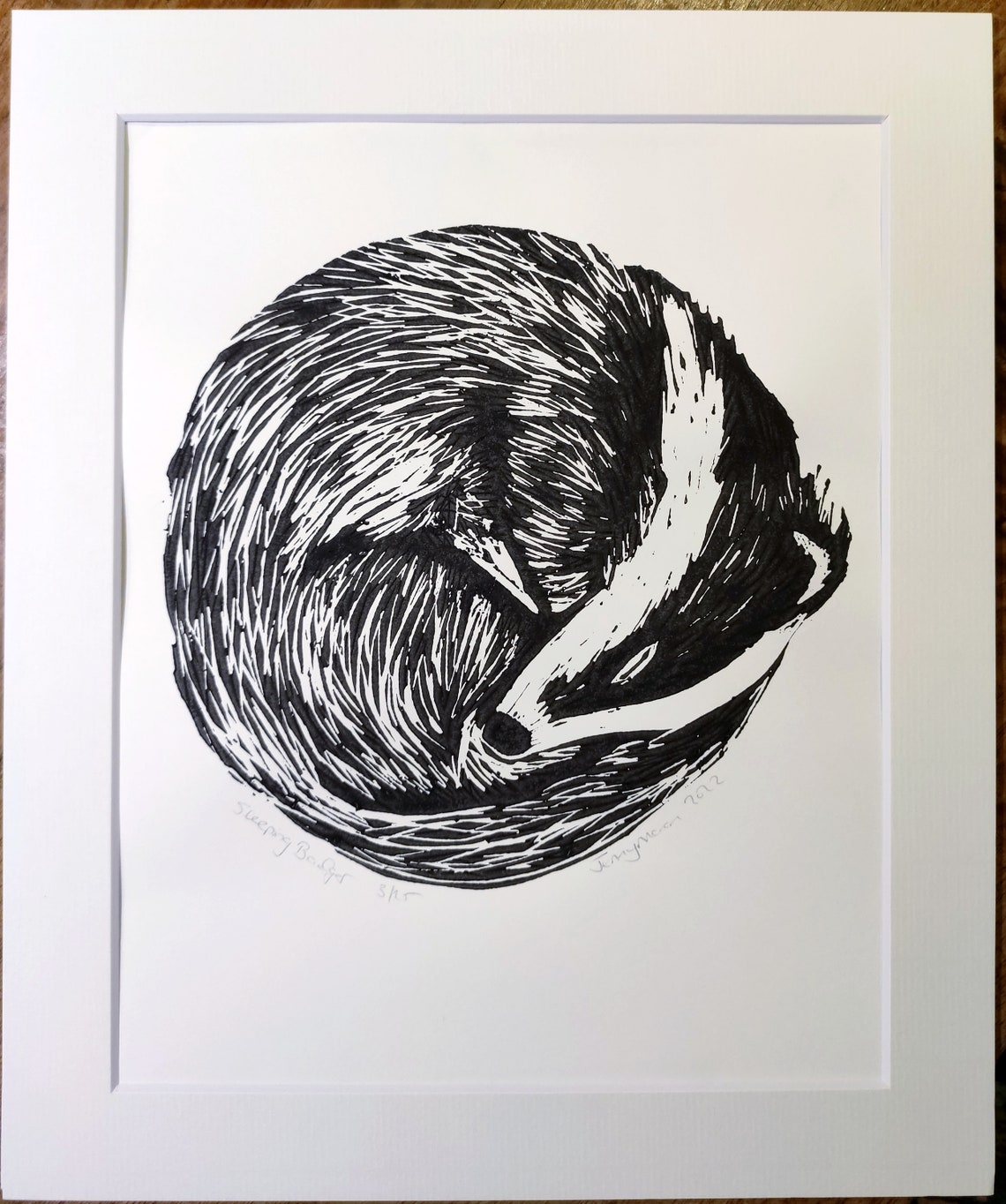Sleeping Badger - Mounted Original Linocut Print Original Artwork - Etsy UK