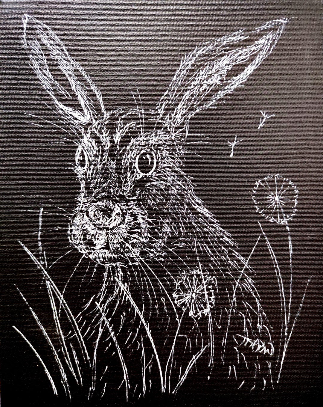 Original Art. Hare Ink Drawing on Black Canvas Board 8 X 10 Inches Size ...