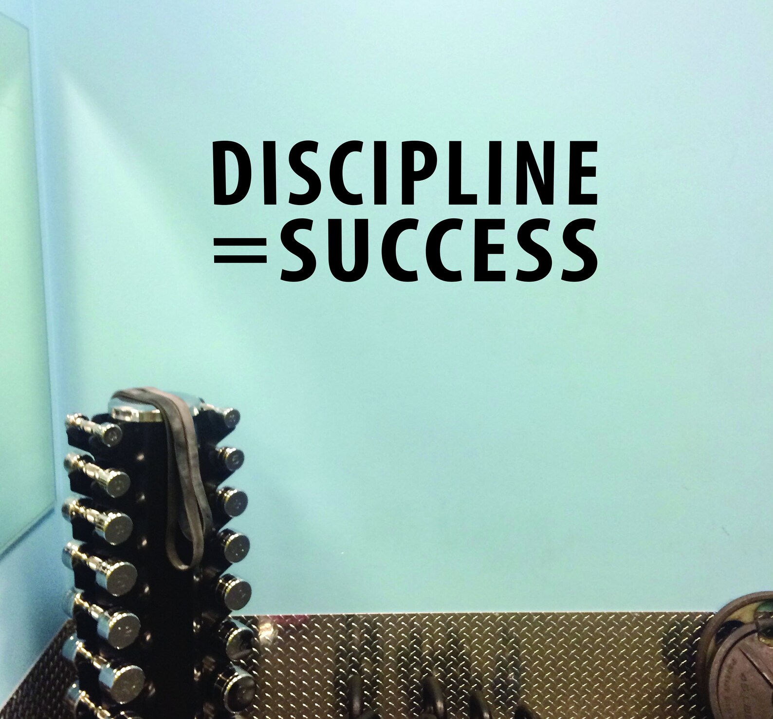 DISCIPLINE = SUCCESS Gym Wall Decal, Gym Design Ideas, Physical Therapy ...