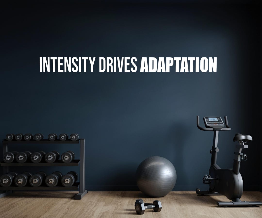 INTENSITY DRIVES ADAPTATION Fitness Wall Decal, Office Wall Decal ...