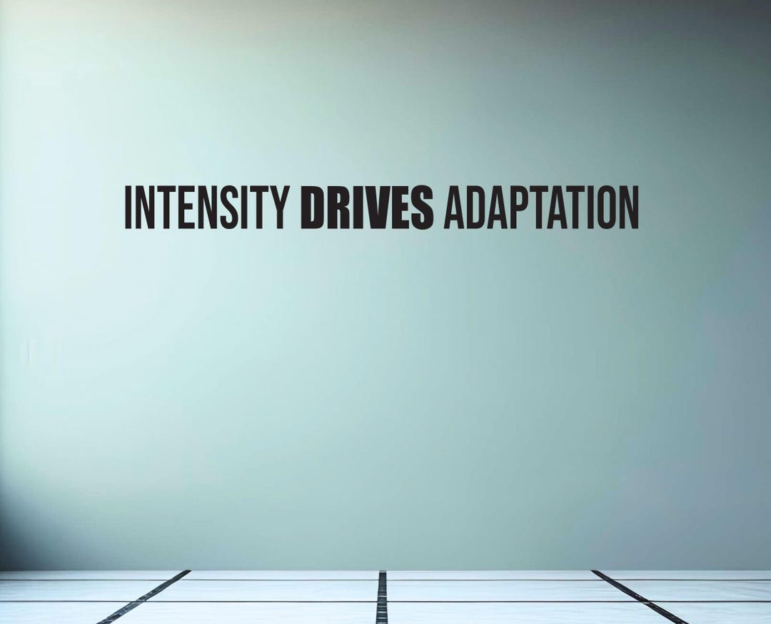 INTENSITY DRIVES ADAPTATION Fitness Wall Sticker, Office Wall Decal ...