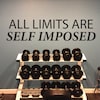 Do Not Slam Weights Gym Wall Decal Sign, Gym Sign, Gym Decor Ideas, Gym ...