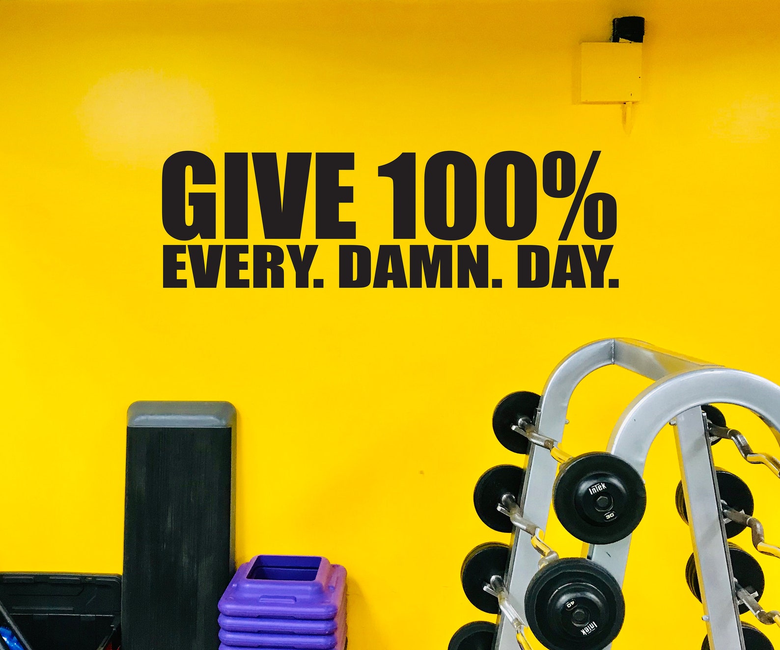 GIVE 100% Every. Damn. Day. Wall Decal, Gym Wall Sign, Gym Poster ...