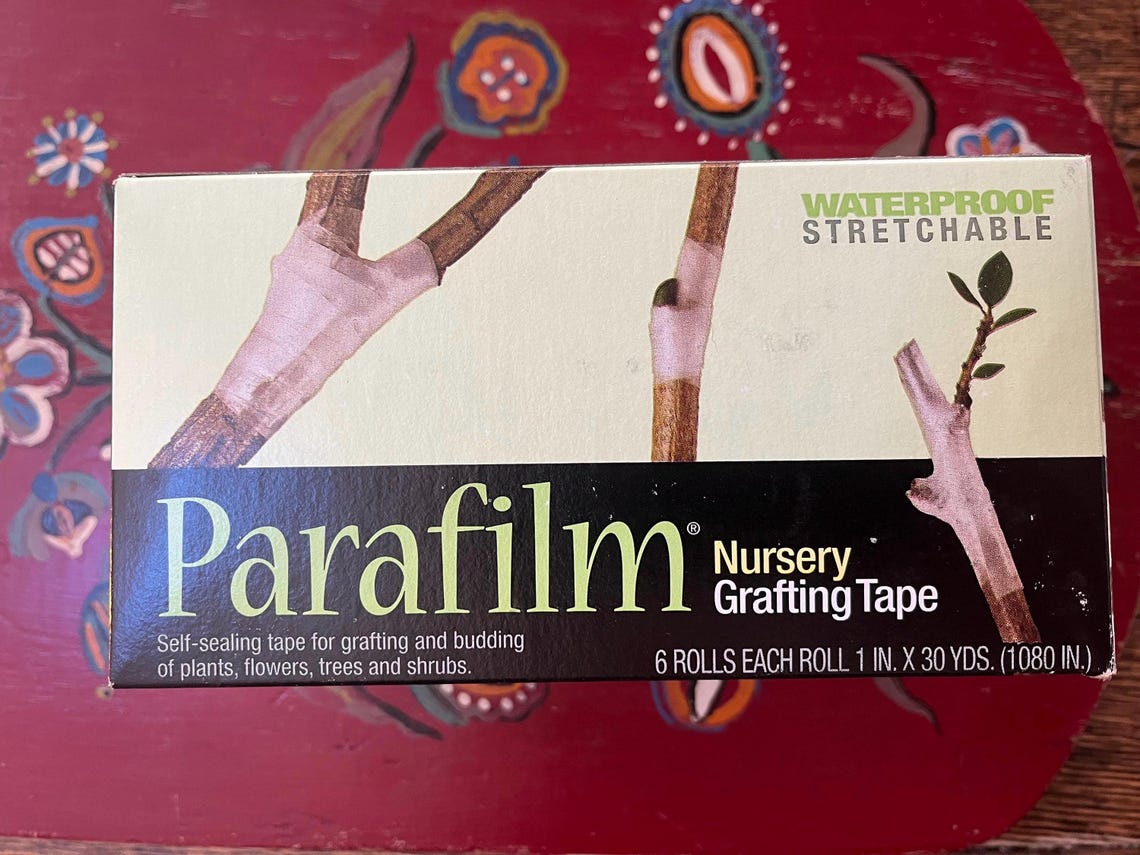 Parafilm Grafting Tape – 30 Yard Roll for Plant Grafts & Cuttings - Etsy