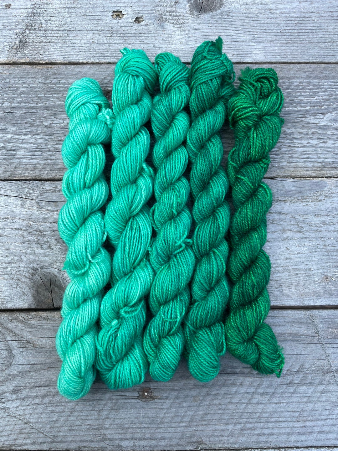 Blue Pine Forest Fine: a Five Mini Skeins Set in an Ombré - Etsy