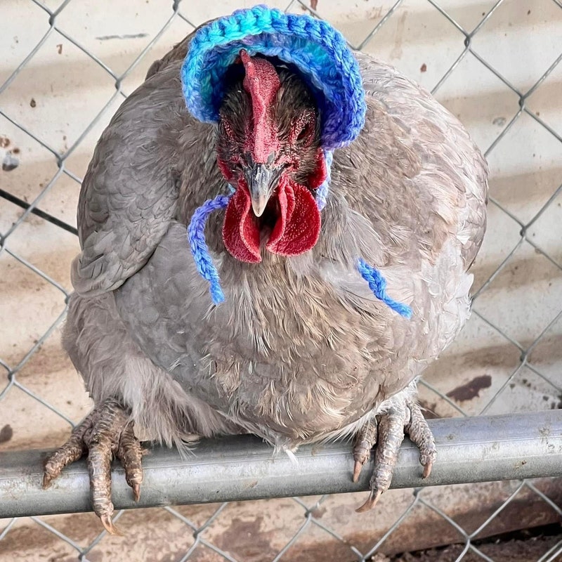 Crochet Bonnet Prop - Etsy