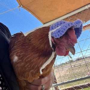 Made to Order: Crochet Chicken Bonnet - Hat - Banty - Small Chicken ...