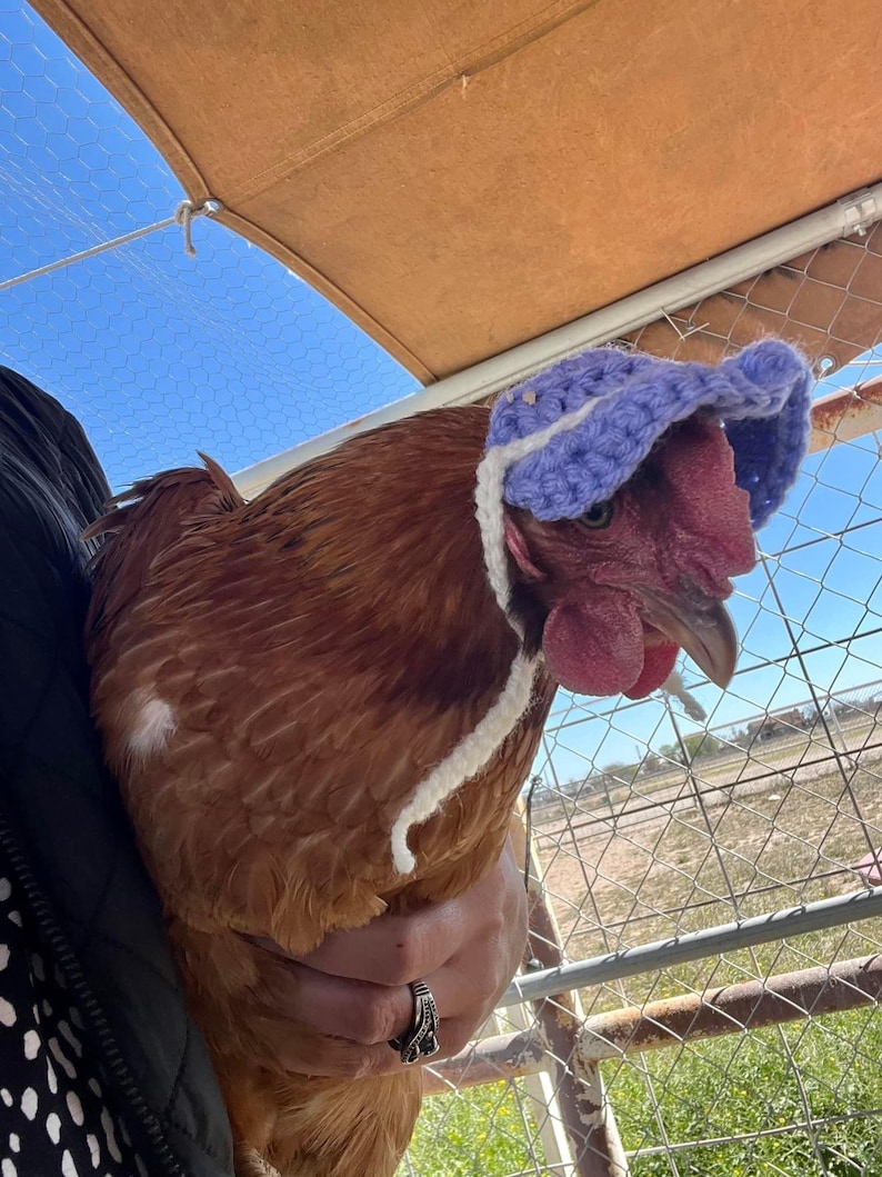 Made to Order: Crochet Chicken Bonnet - Hat - Banty - Small Chicken ...