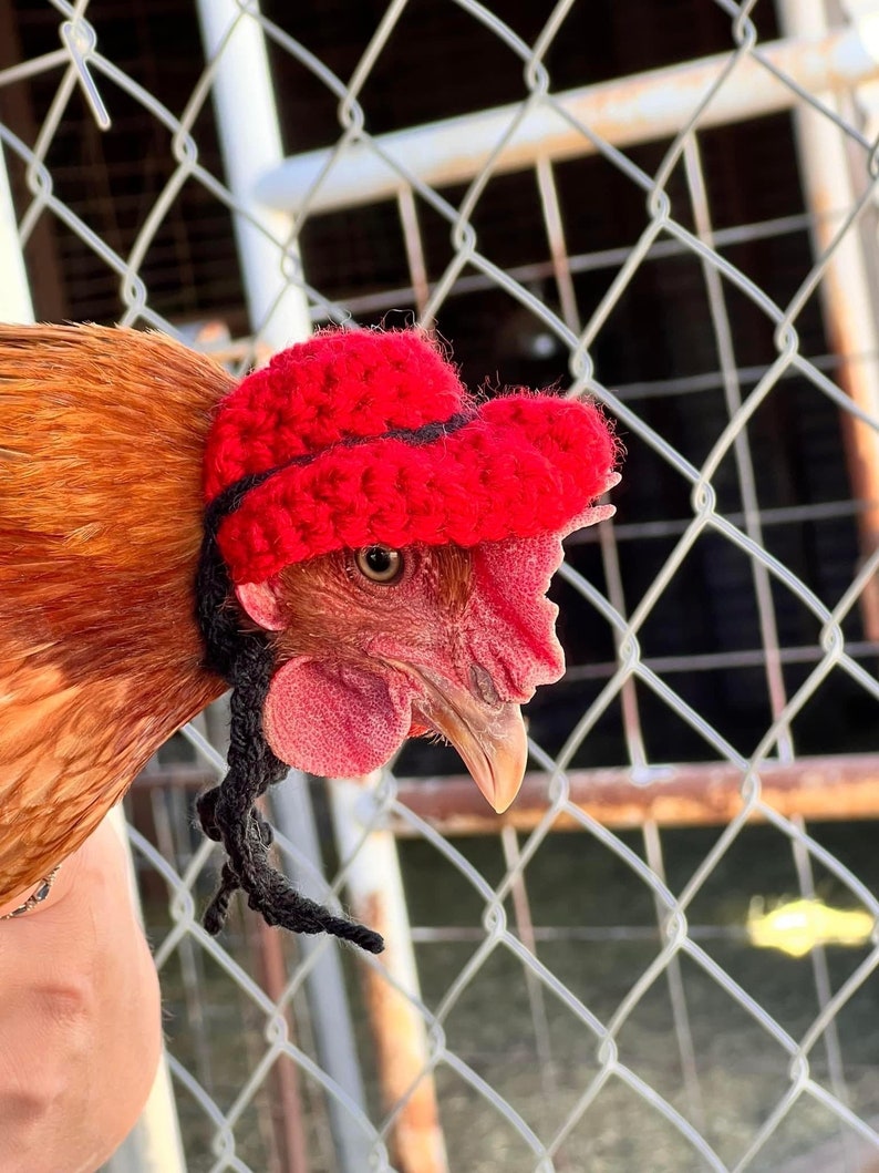 Made to Order: Crochet Chicken Bonnet - Hat - Banty - Small Chicken ...