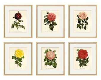 Rose art | Etsy