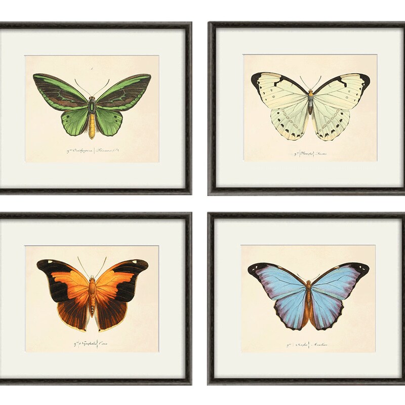 Butterfly Print - Etsy